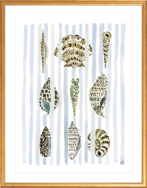 The "Seashell Stripes No. 2" Watercolor Fine Art Print – Evelyn Henson