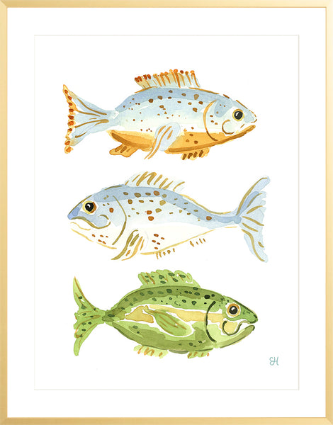 The "Fish School No. 3" Watercolor Fish Fine Art Print – Evelyn Henson