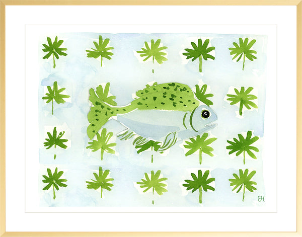 The "Palm Queen Blue" Watercolor Fish Fine Art Print – Evelyn Henson
