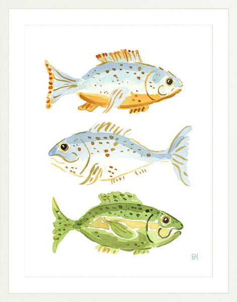 The "Fish School No. 3" Watercolor Fish Fine Art Print – Evelyn Henson