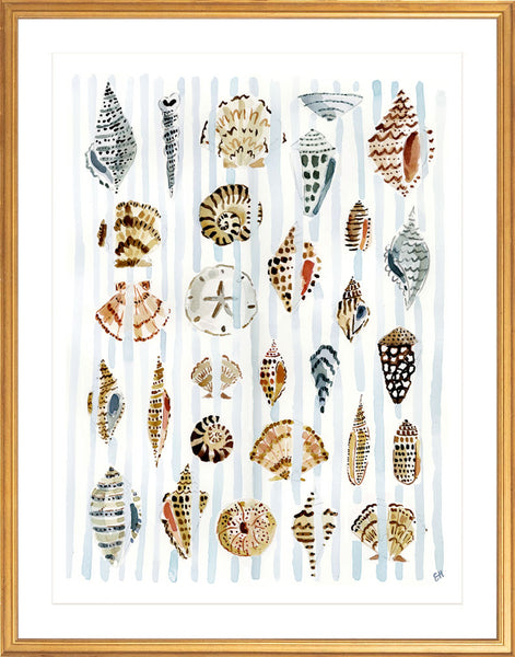 The "Shells and Stripes" Watercolor Fine Art Print – Evelyn Henson